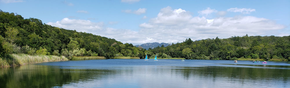 Must visit places of Santa Rosa & Northern Sonoma County - Wine Road