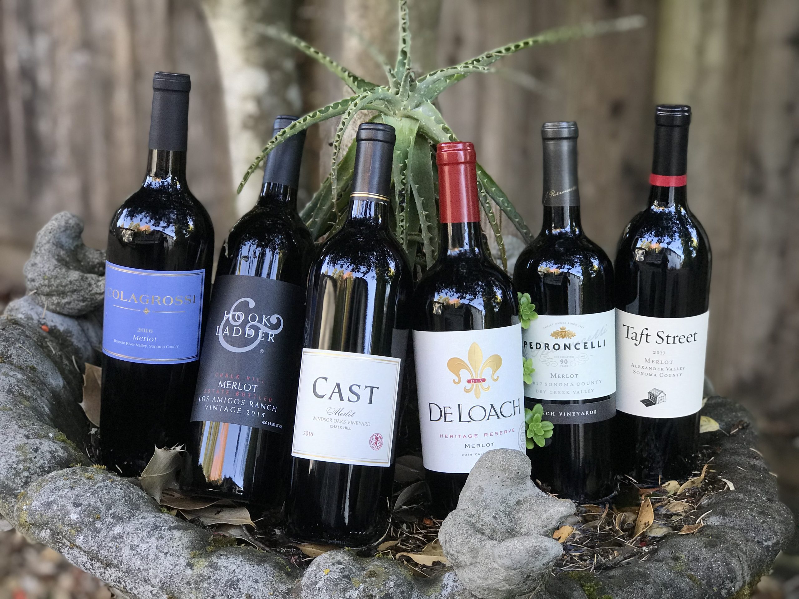 Merlot: Varietal of the Month - Wine Road