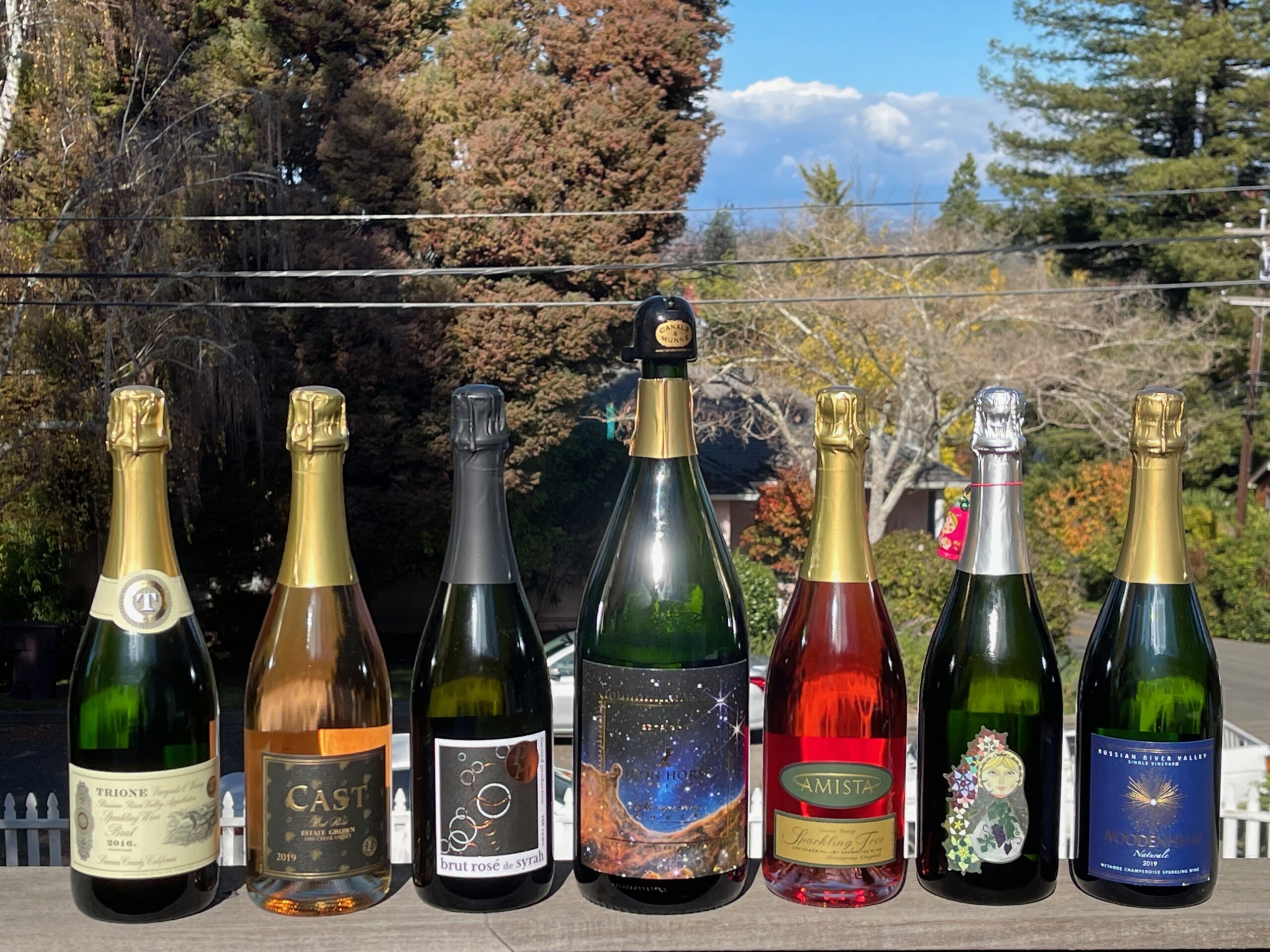 Sparkling Wine: Reviews of Dazzling Wines for Every Palate - Wine Road